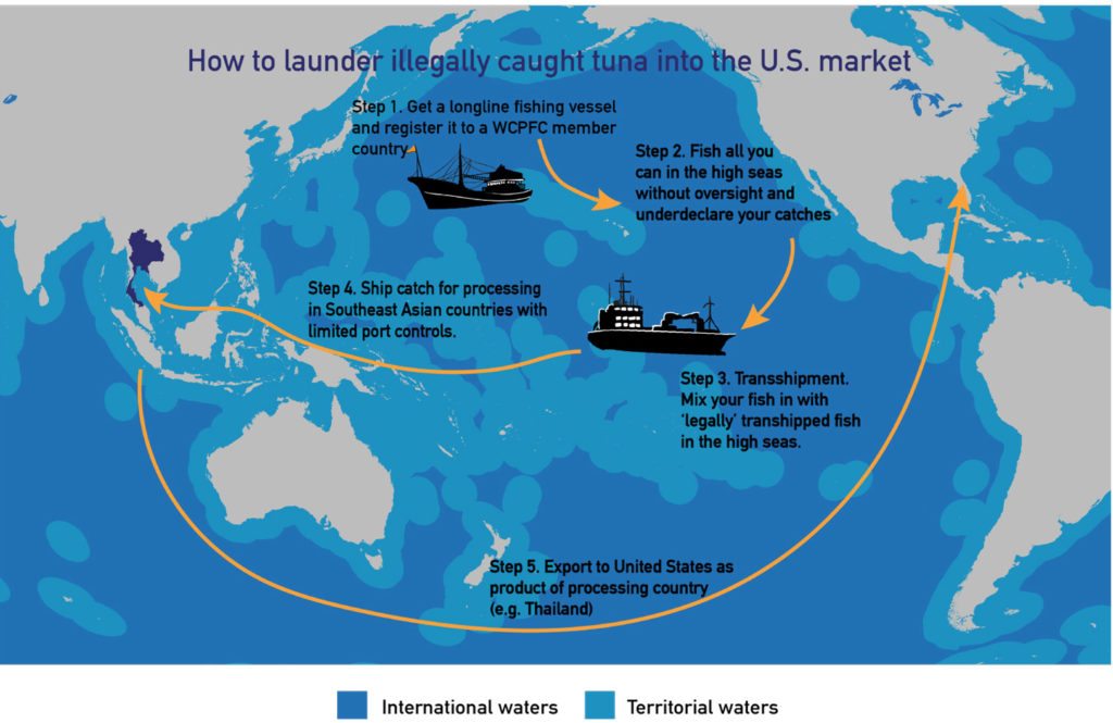 How seafood's "dark web" obscures fraud, fish laundering, and slavery
