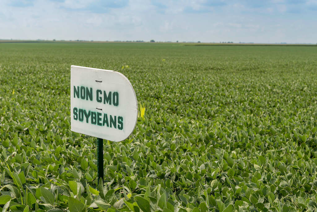 In wake of new Monsanto seed, Illinois sees more crop damage