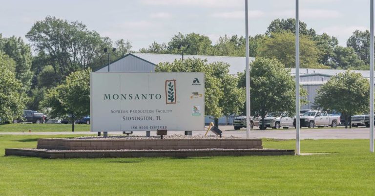 In wake of new Monsanto seed, Illinois sees more crop damage
