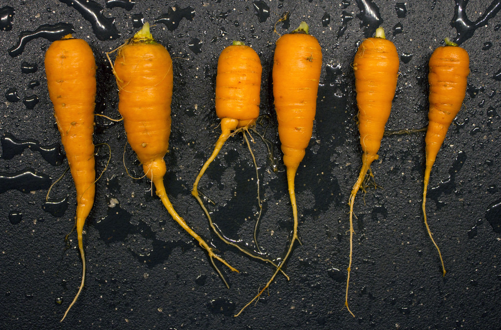 We Now Have The Full Story Behind The Largest ever Organic Fraud We Now Have The Full Story Behind The Largest ever Organic Fraud