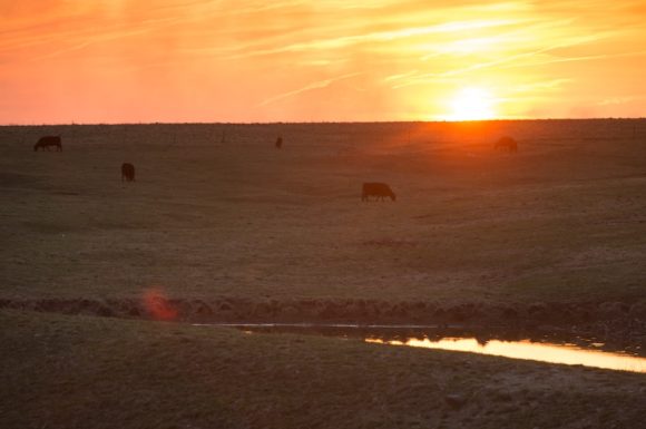 Scenes from rural Kansas, far beyond the highway | The Counter