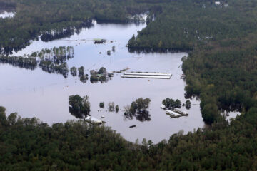 With one hog waste lagoon breached, North Carolina still in rescue mode