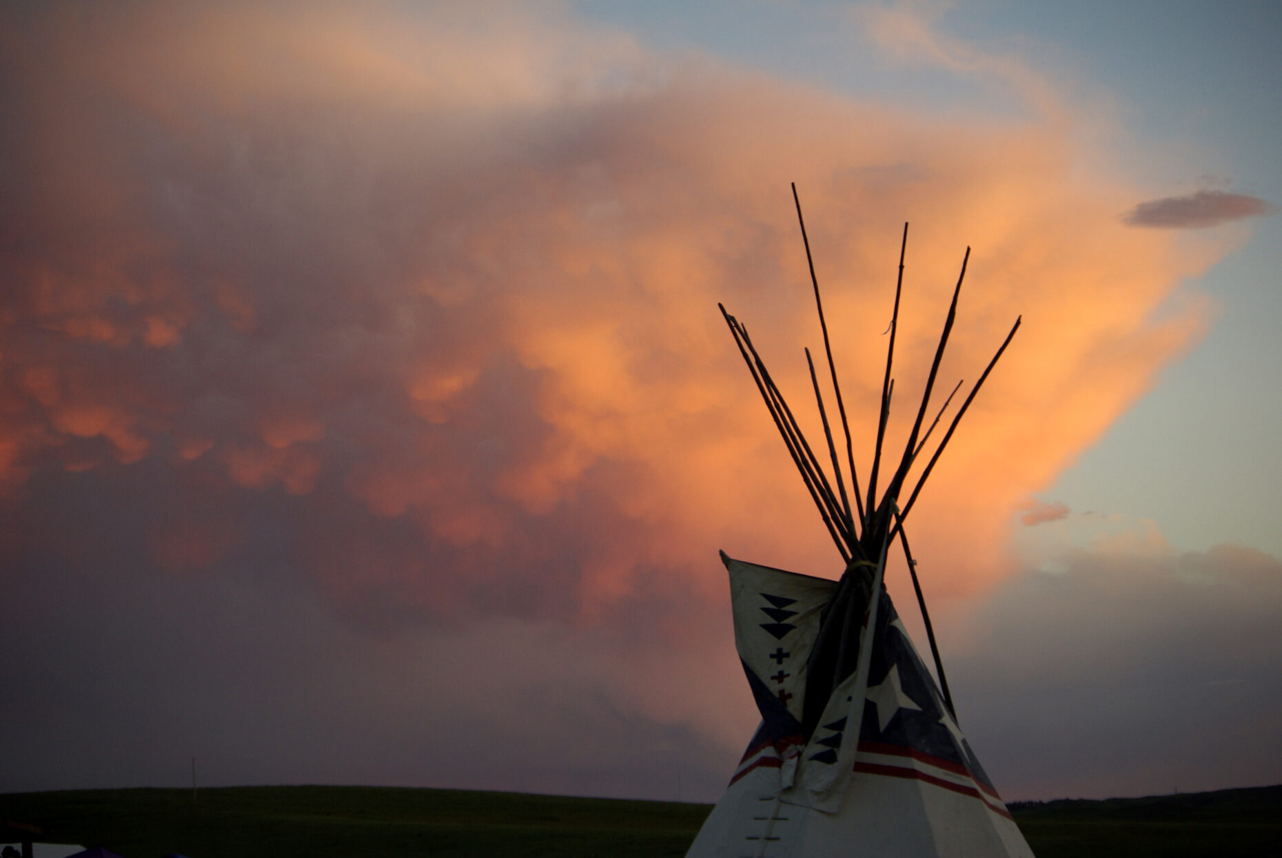 Bison bars were supposed to restore Native communities and grass-fed ...