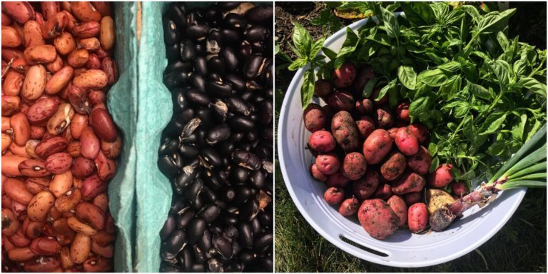 Is food waste a religious issue? | The Counter