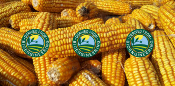 “Bioengineered” food labeling rules take effect