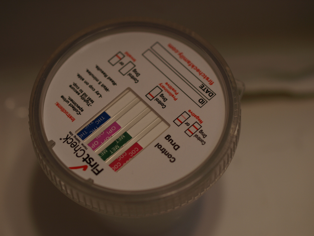 Where are they now? From the "Harvest Box" to "lunch-shaming," we dug ...