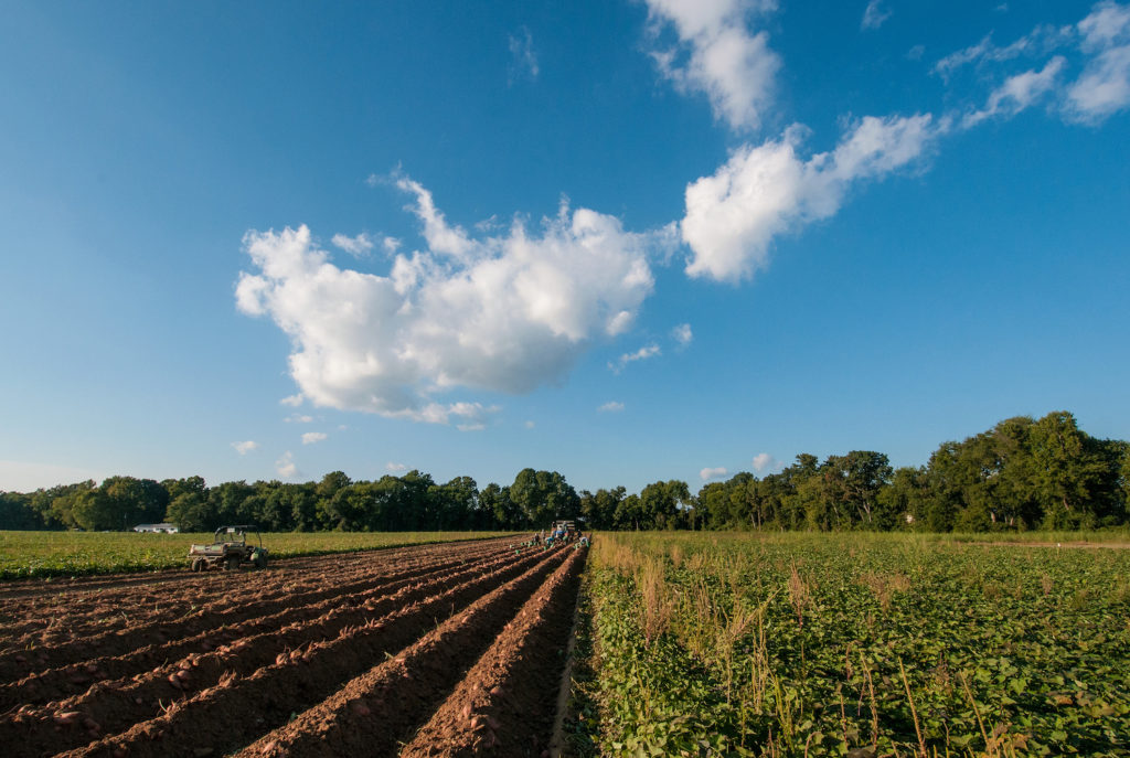 Why transitioning a farm from one generation to the next is trickier ...