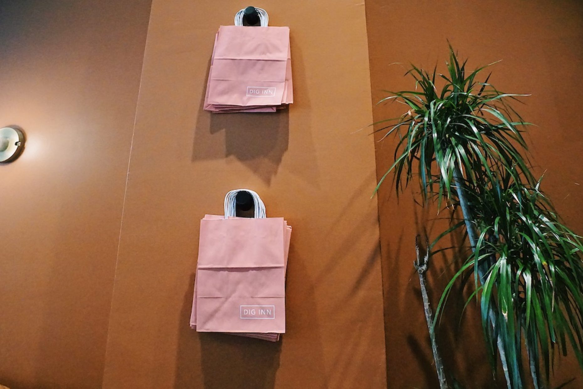 The boom in eco-friendly tableware is causing chaos at restaurants ...