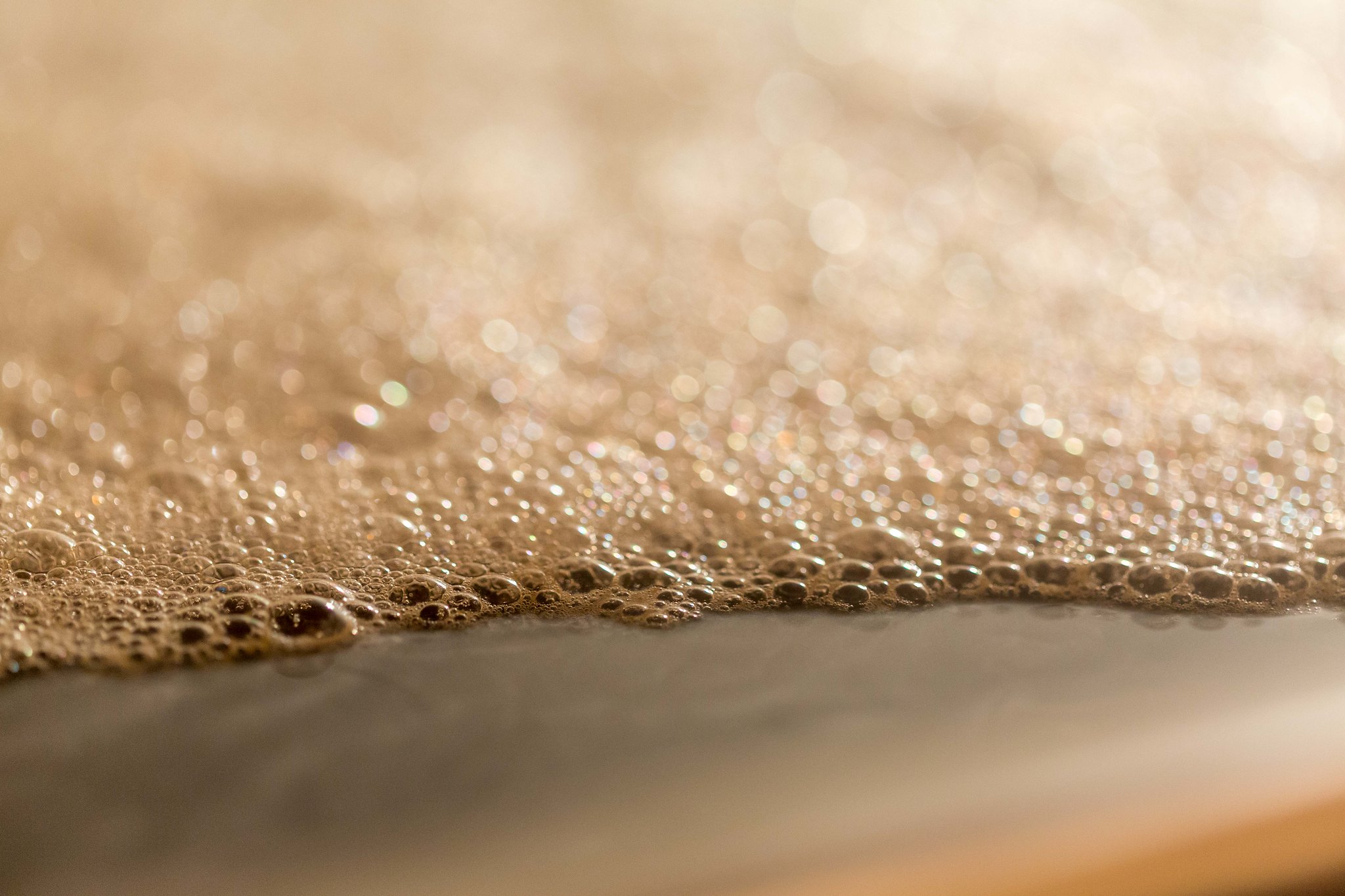 Notes of "burnt Band-Aid": Wild yeasts bring offbeat terroir to craft beer