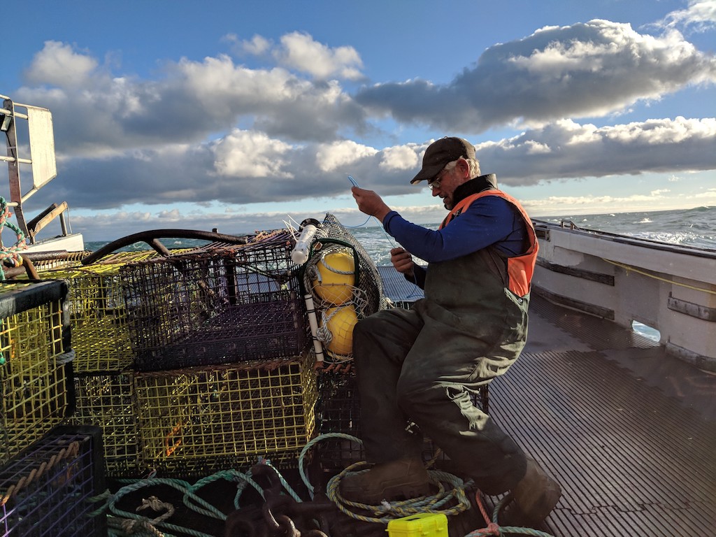 Why are California crab fishermen fighting to save humpback whales?