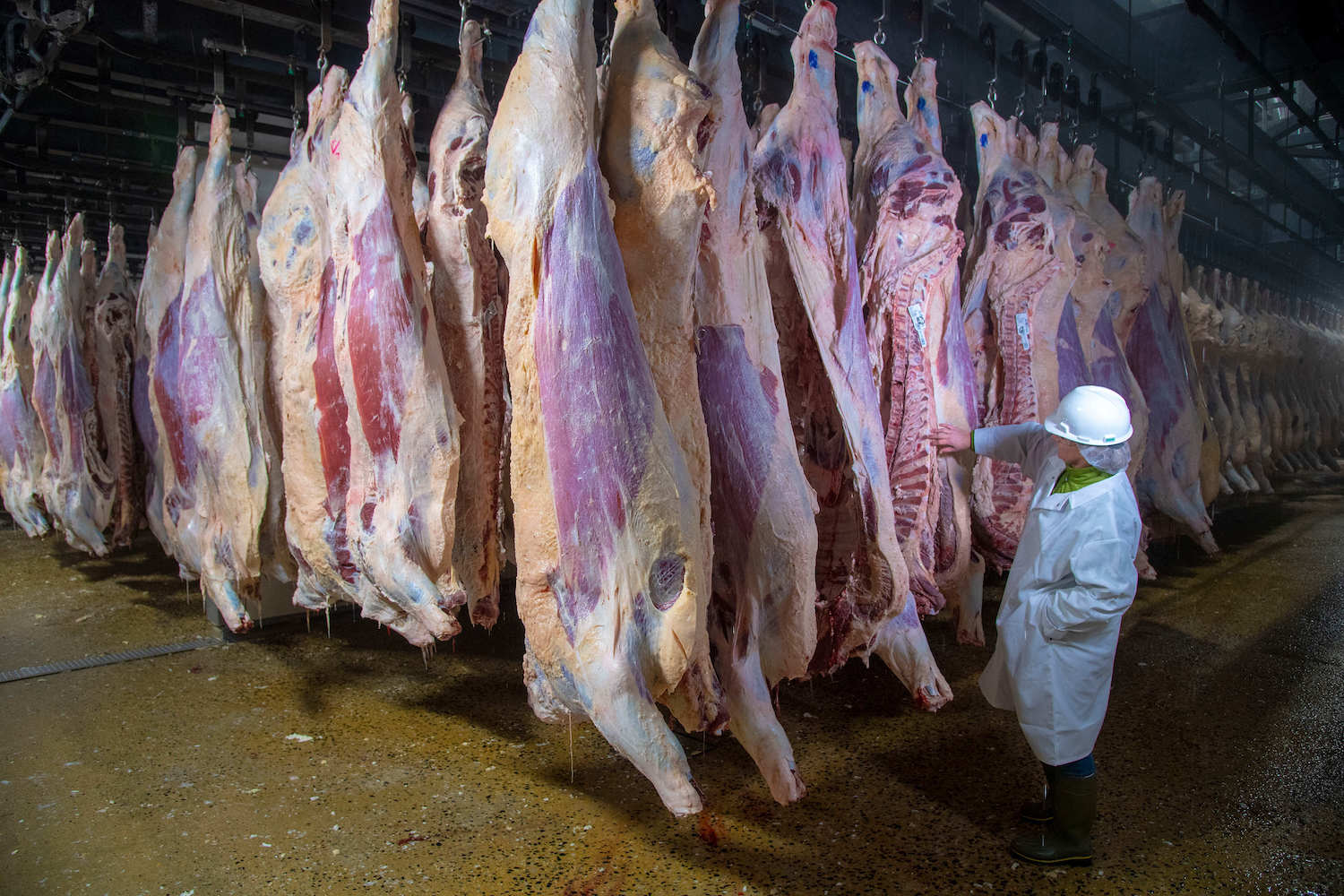 Federal meat inspectors face work dangerous overload, burnout