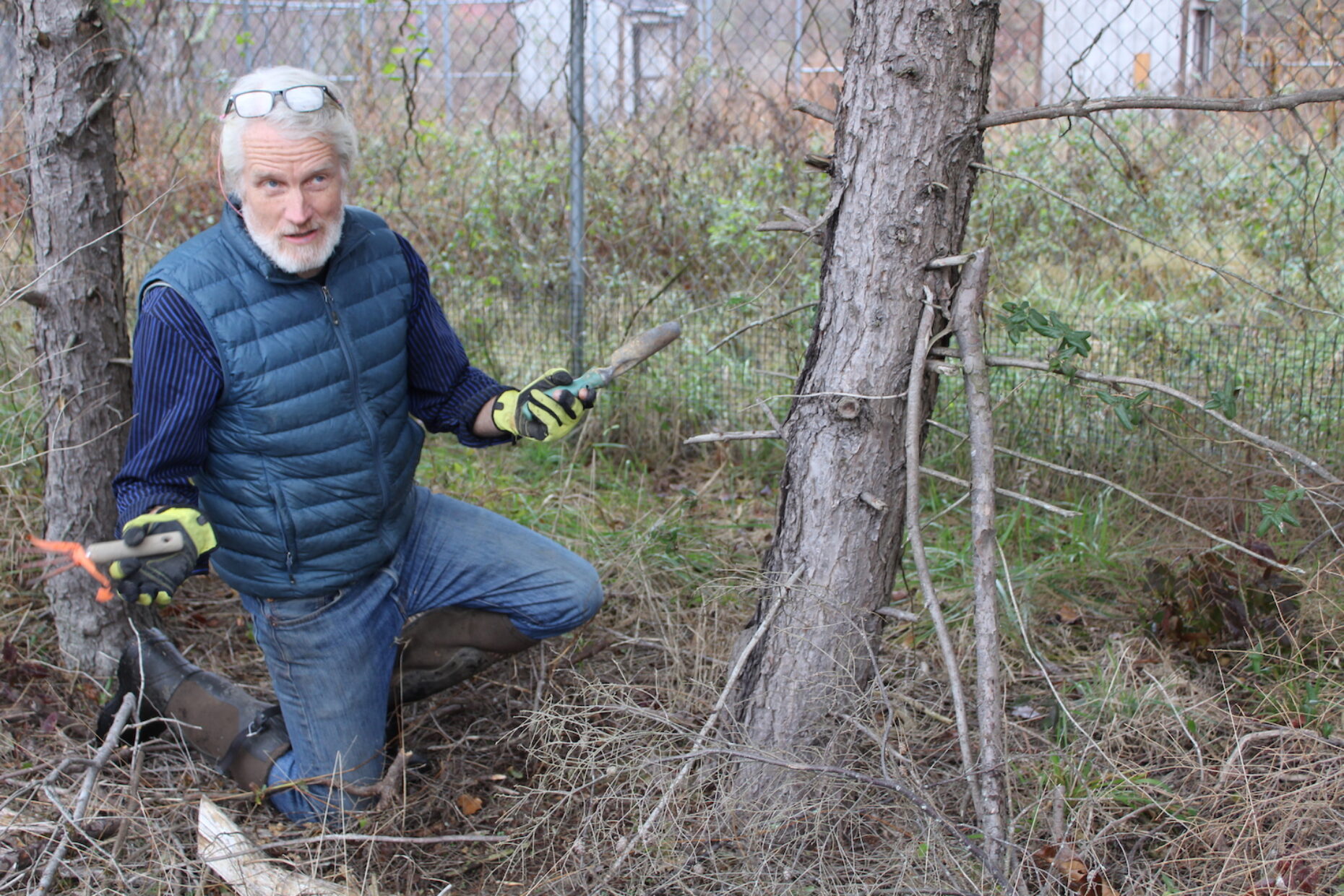 U.S. agriculture employs nearly 3 million honeybee colonies every year ...