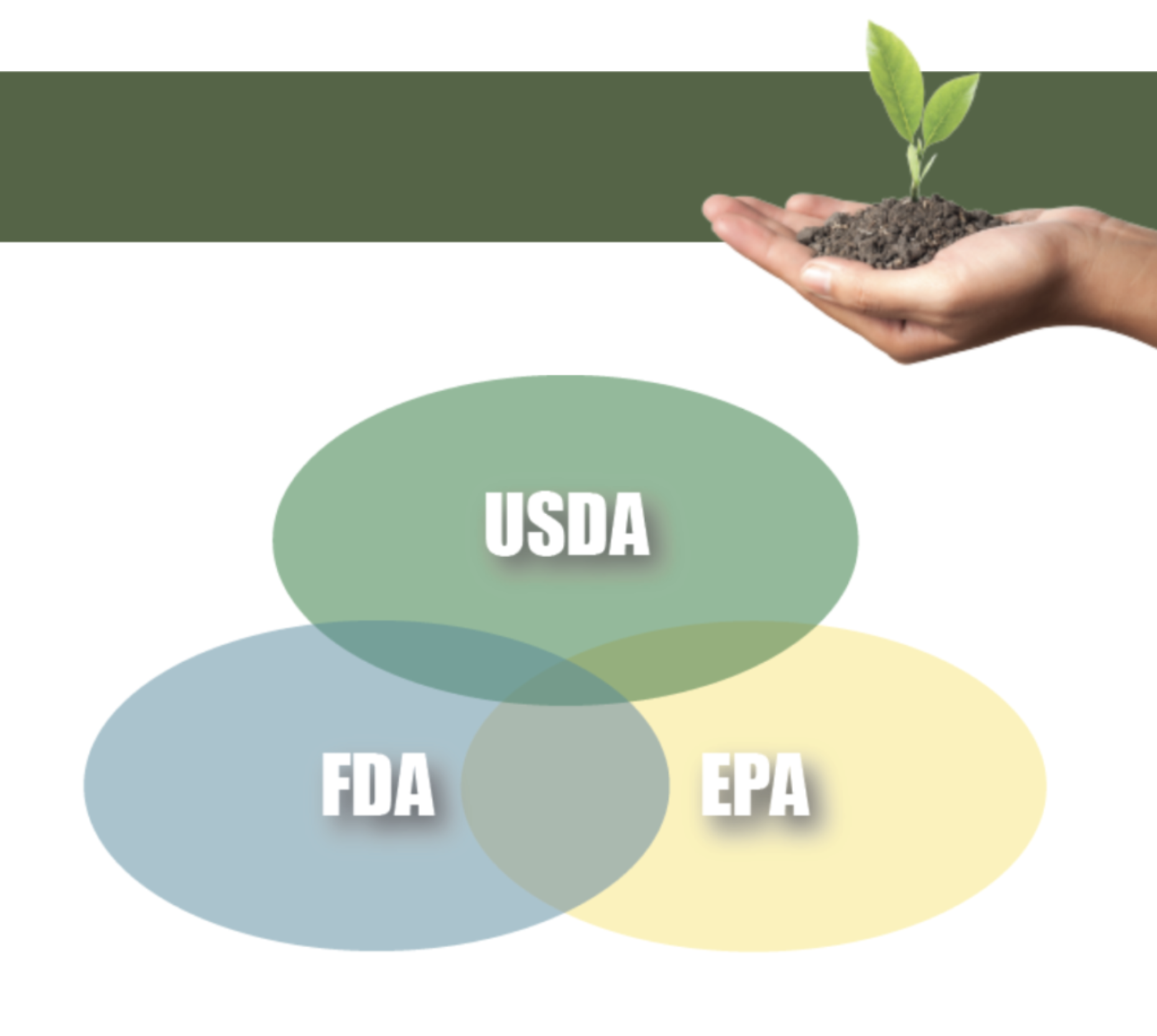 New government website is meant to clarify GMO regulations