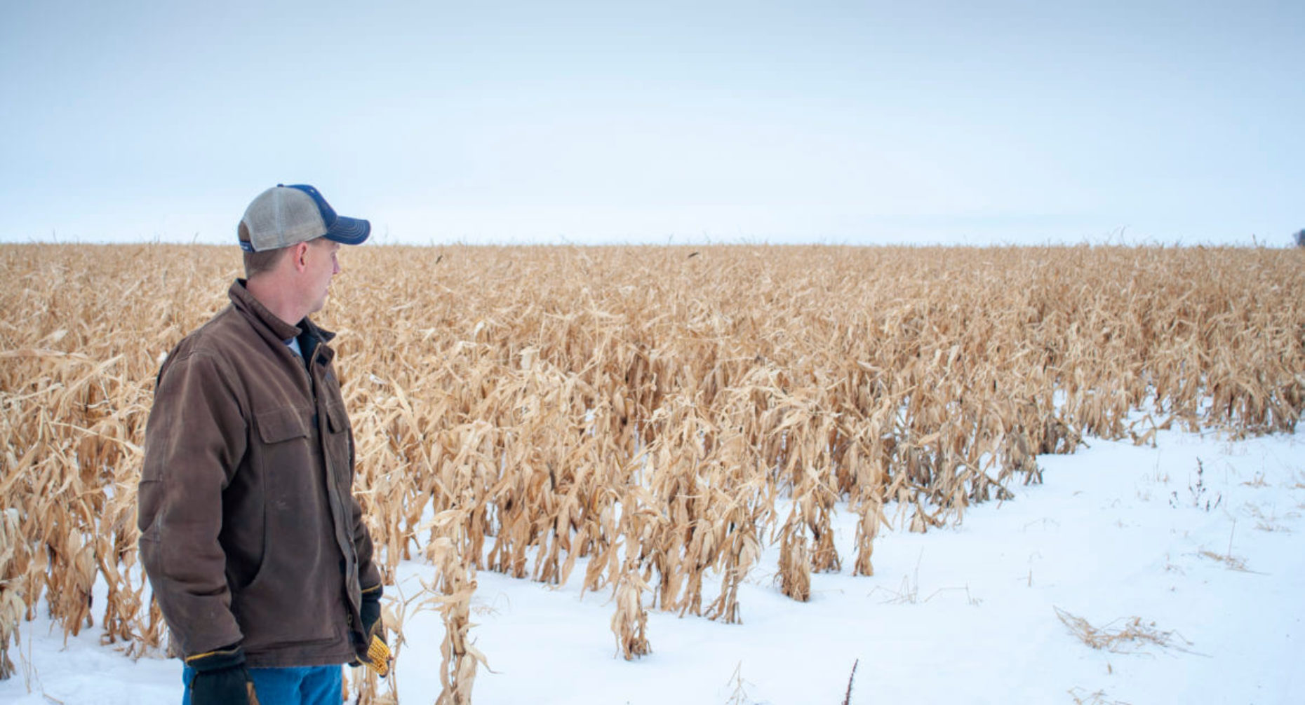 Half of North Dakota’s corn is still in the field. USDA calls it “on ...