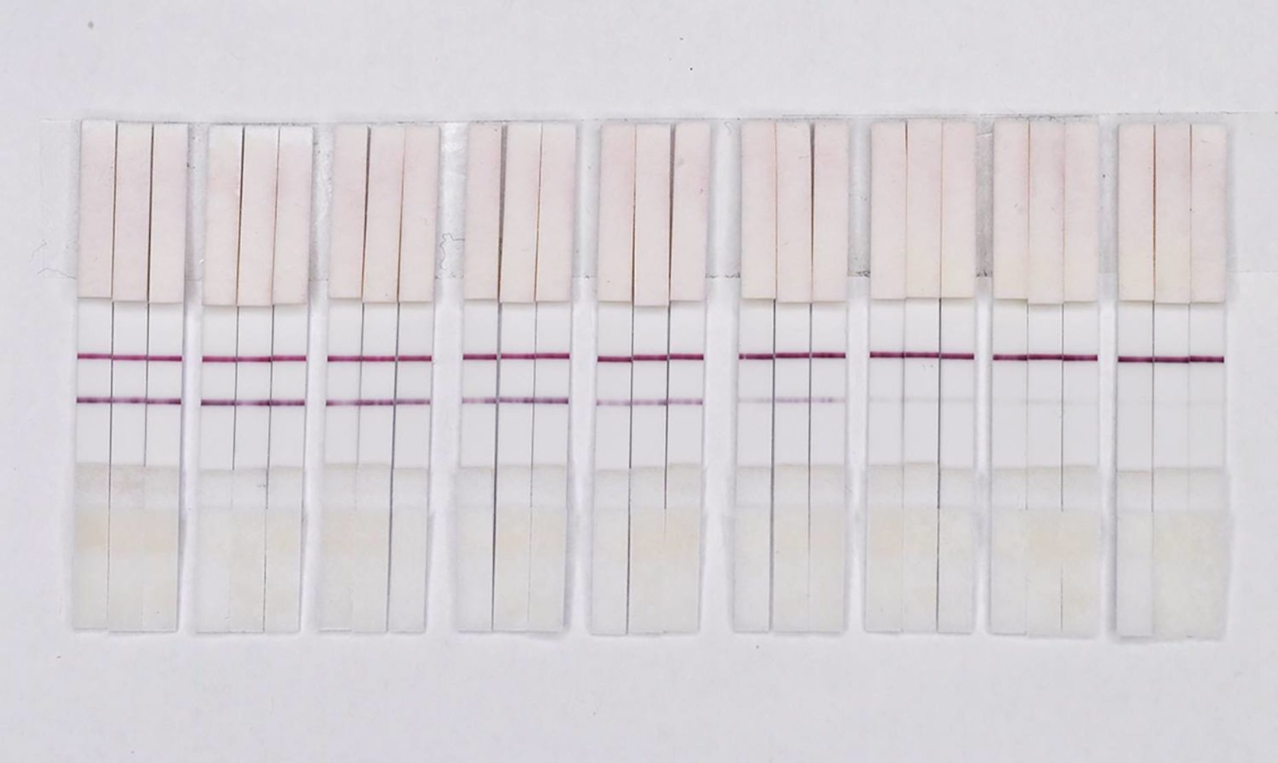 USDA just introduced a device to detect which mushrooms are toxic
