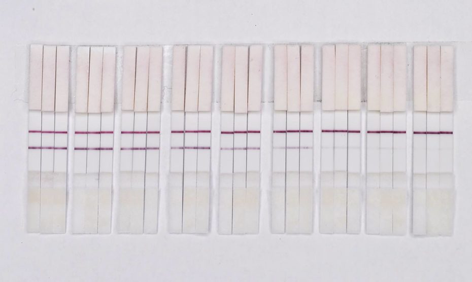 USDA just introduced a device to detect which mushrooms are toxic