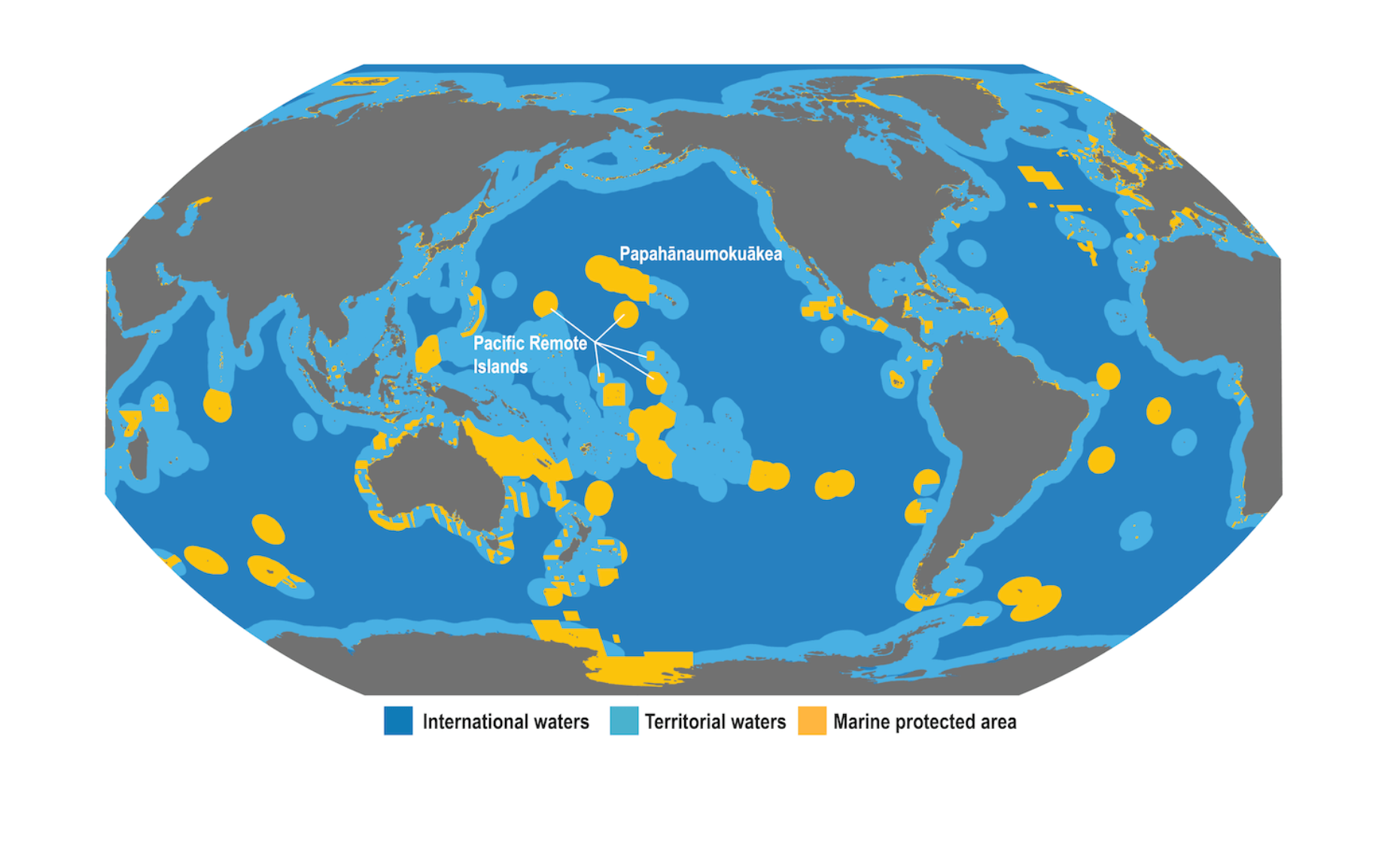 Does protecting the sea harm fishermen? It’s complicated. | The Counter