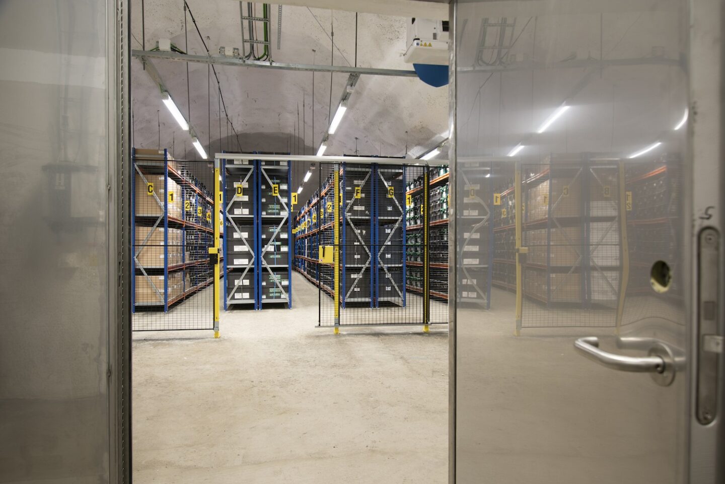 International Biodiversity Day: How the Svalbard Seed Vault defends ...