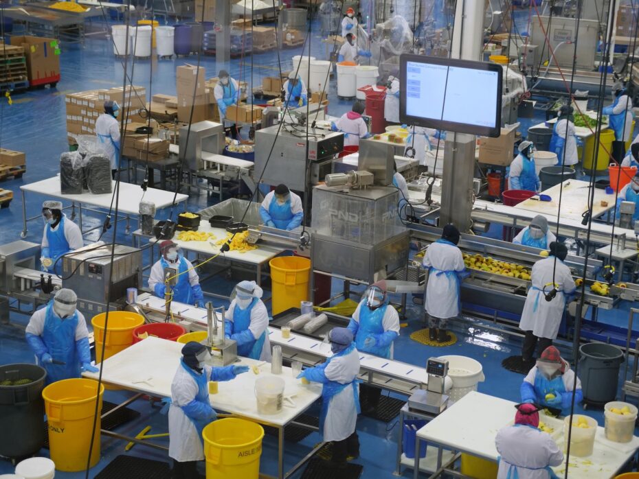 Contractors selected for USDA's food box program raise more red flags ...