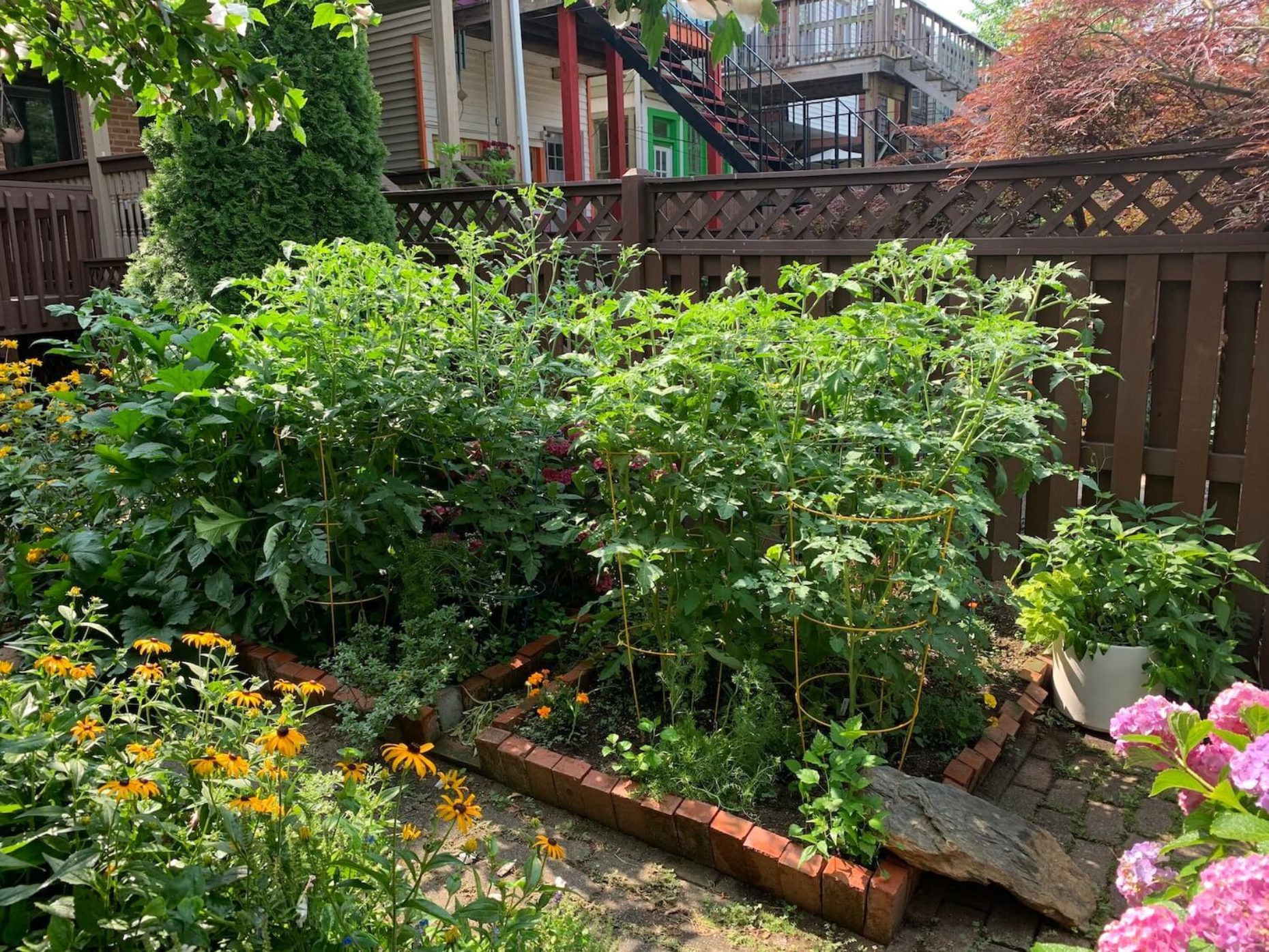 I’m a 39-year-old man who has struggled with my weight for a decade. It ...