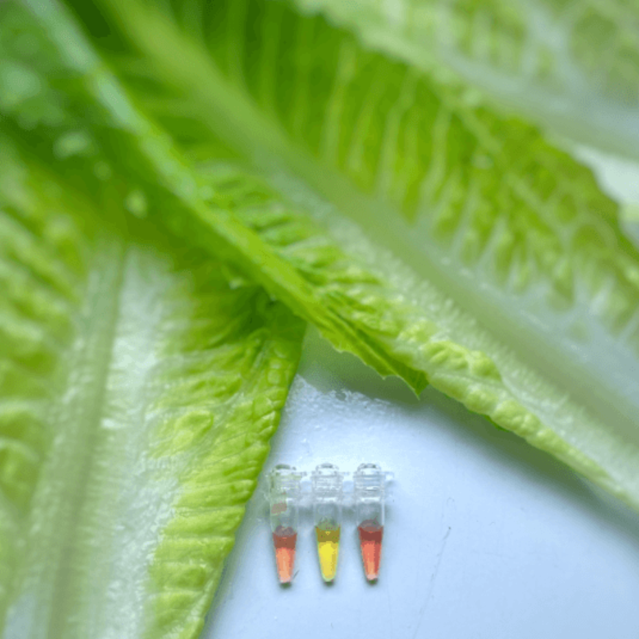 Foodborne diseases kill thousands of Americans each year. Tracing food ...