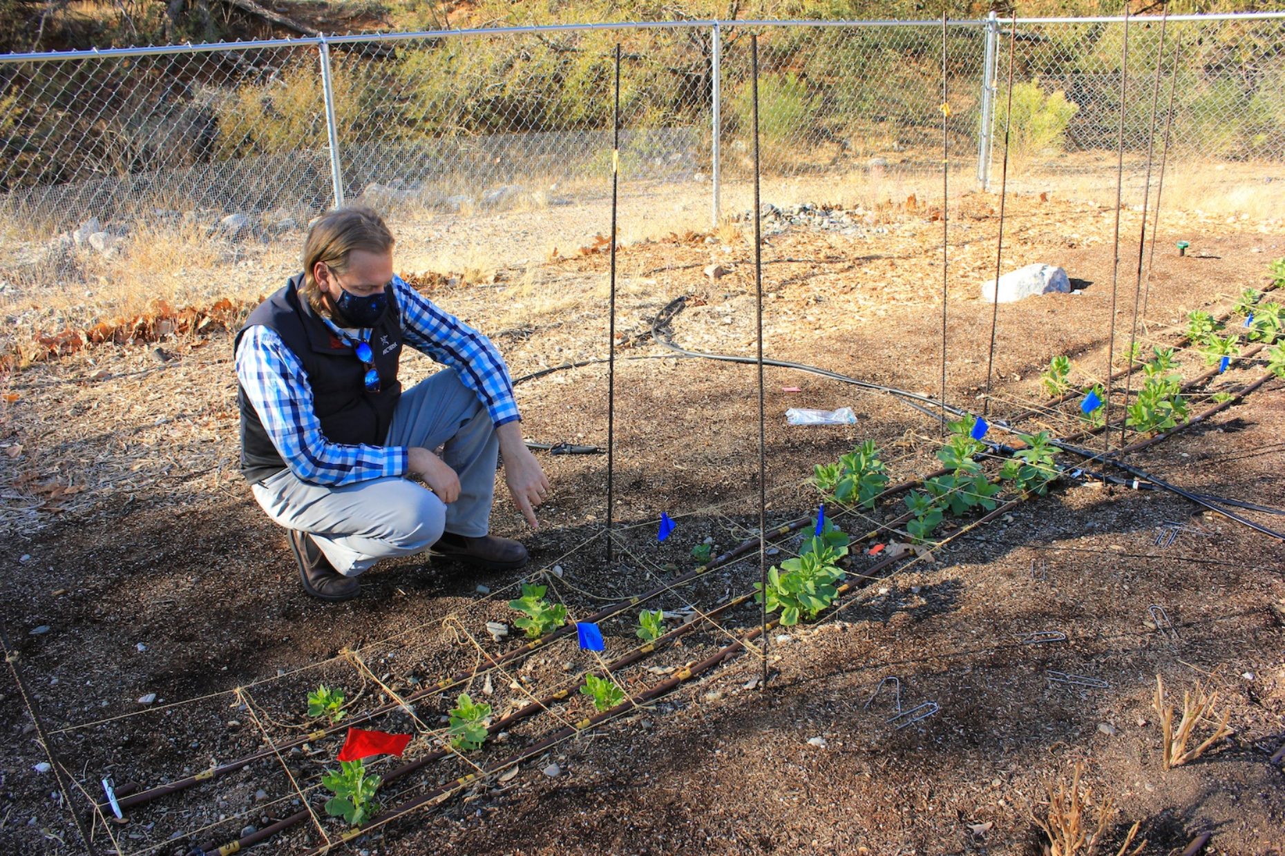 The fascinating, mysterious science of combining farms and solar panels