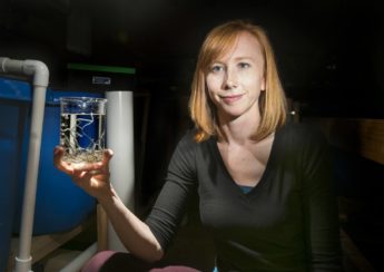 Slimy, smuggled, and worth top dollar: Can one Maine entrepreneur break ...