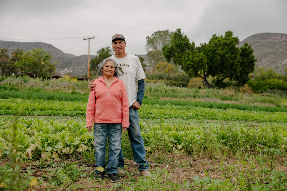How a family farm weathers the pandemic: ‘Sustainable agriculture ...