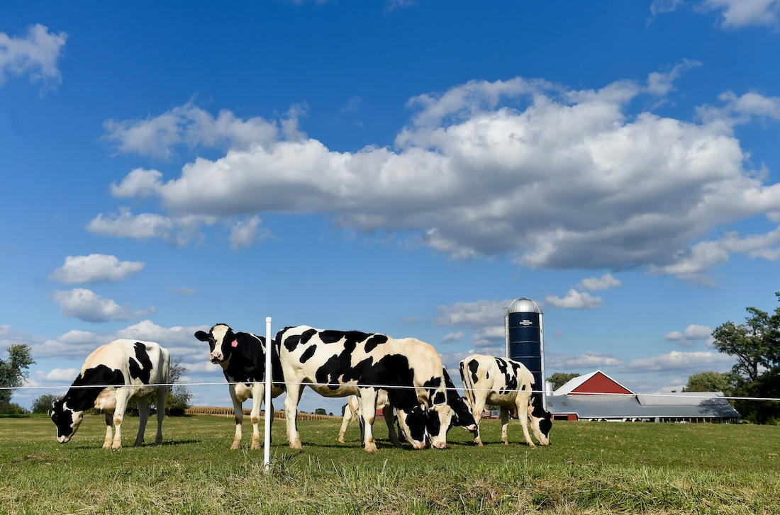 GRAPHIC: Americans are drinking less cow milk and more plant-based ...