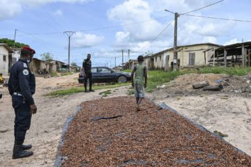 The $720 million açaí industry is fueled by child labor | The Counter