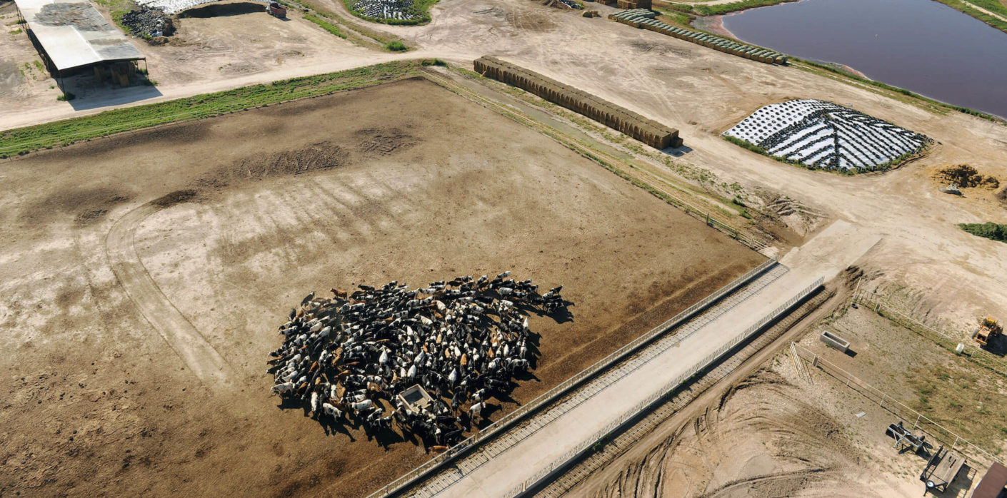 A mega-dairy is transforming Arizona’s aquifer and farming lifestyles