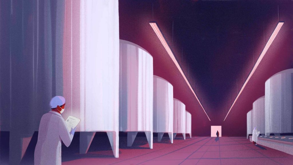 Lab-grown meat is supposed to be inevitable. The science tells a ...