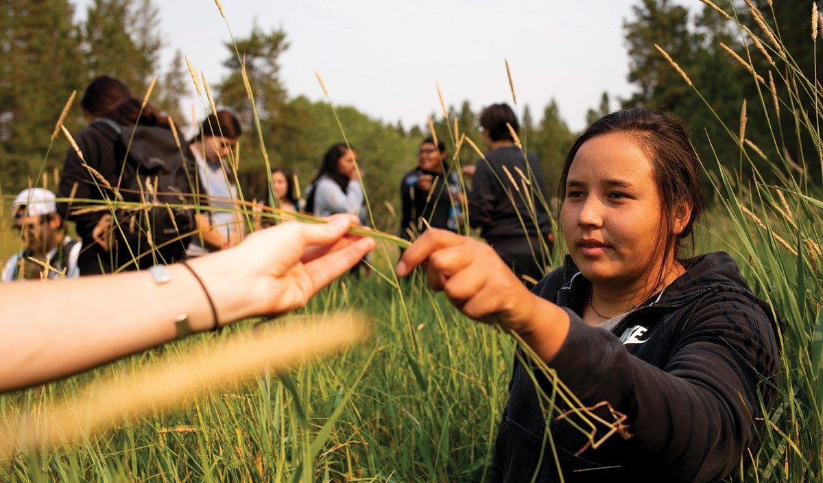 Collecting seeds to restore prairie grasslands | The Counter