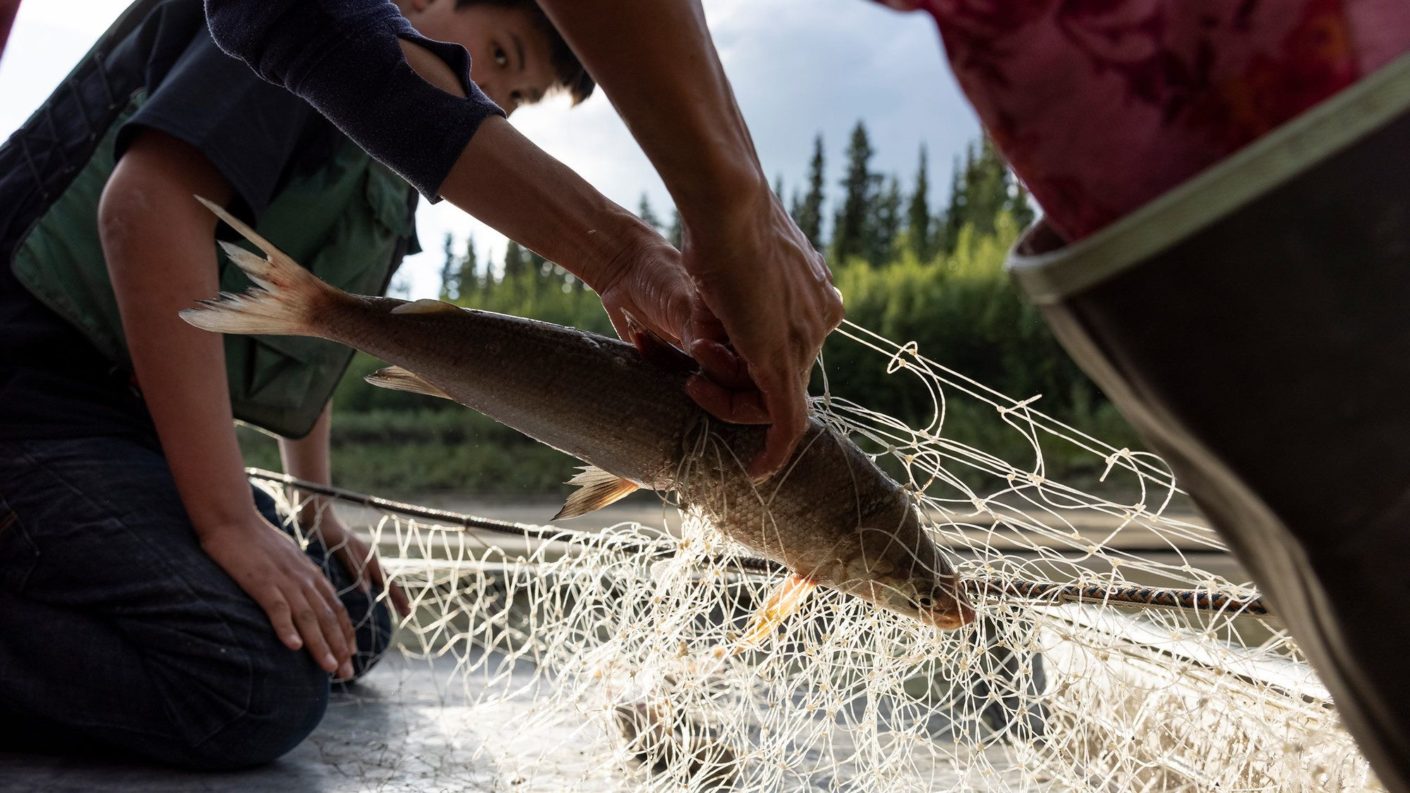Alaska Native villages band together to keep the Yukon River’s wild ...