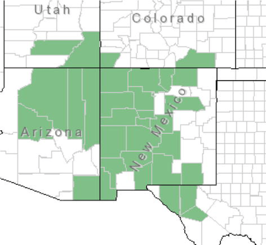 The ancient potato of the future | The Counter