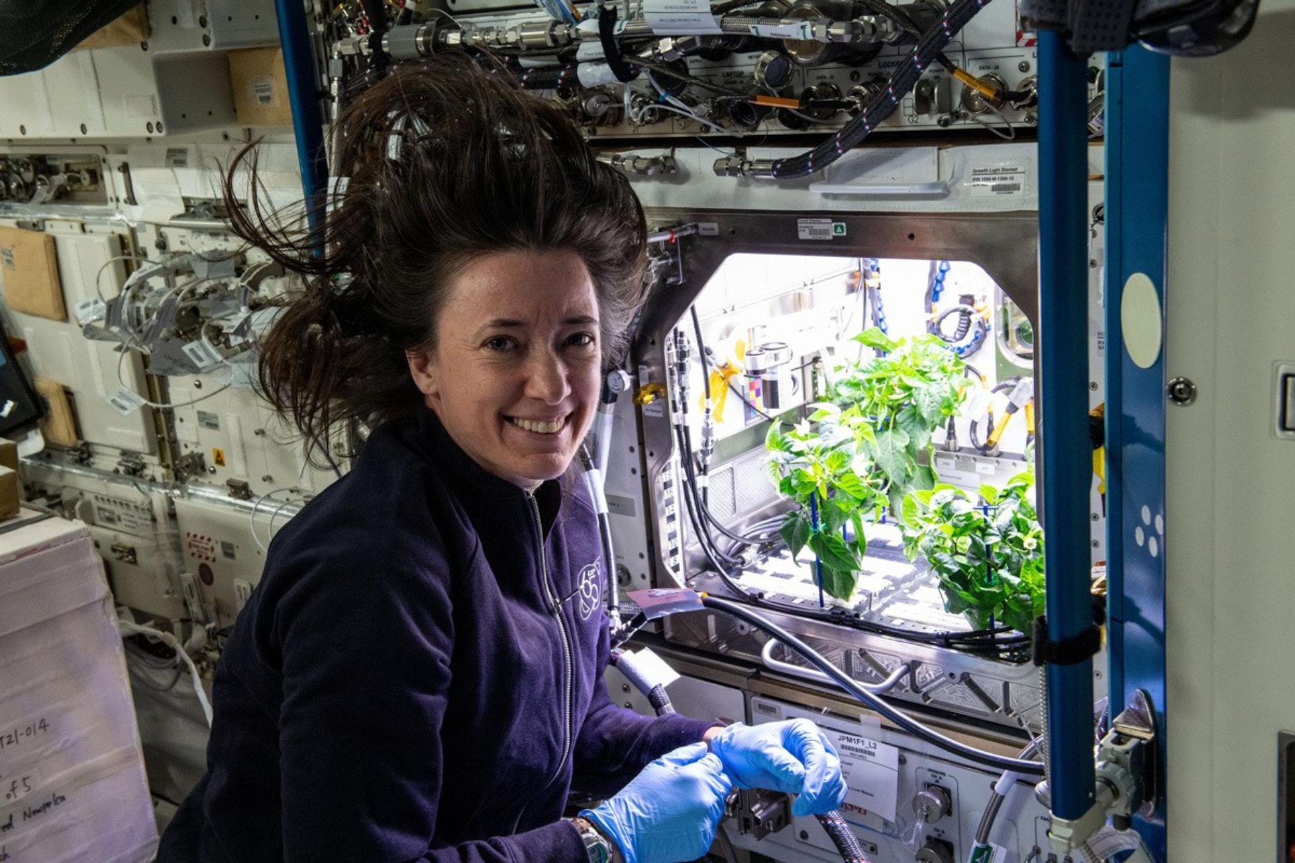 How New Mexico chiles ended up on the space station