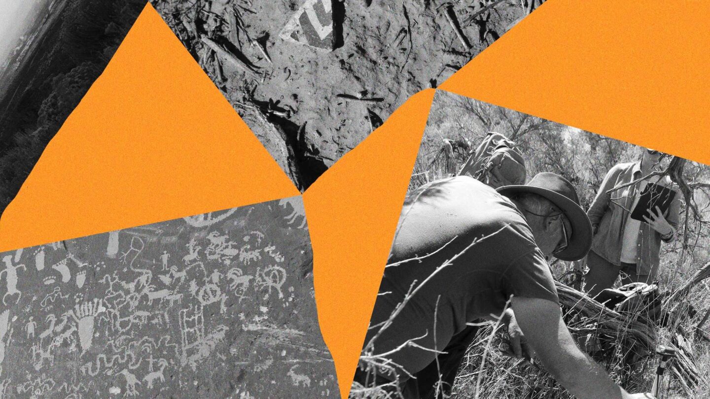 The ancient potato of the future | The Counter