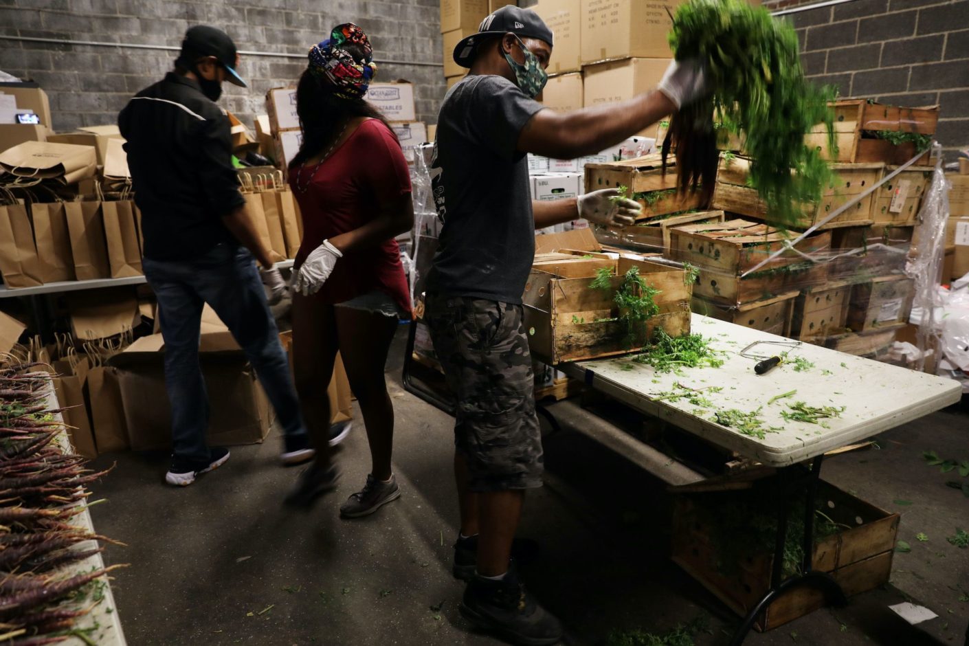 Decolonizing the GMO debate