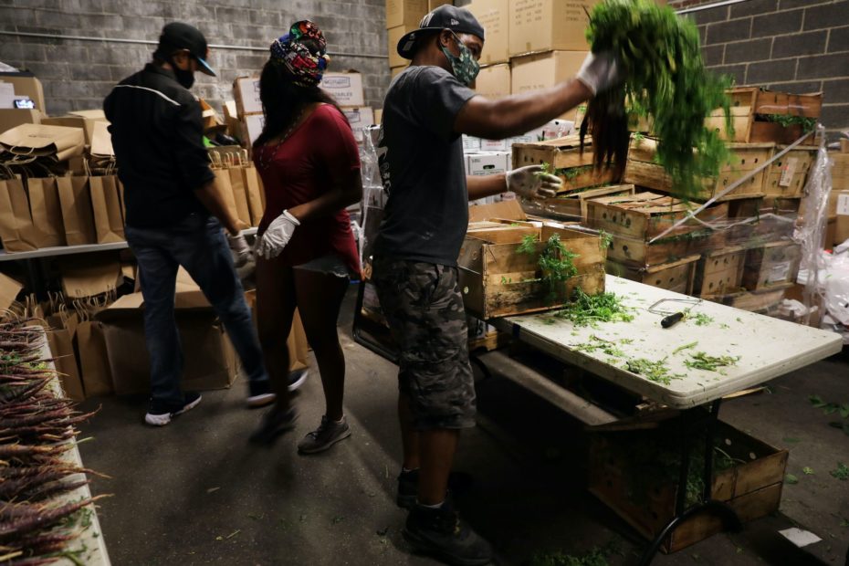 Decolonizing the GMO debate