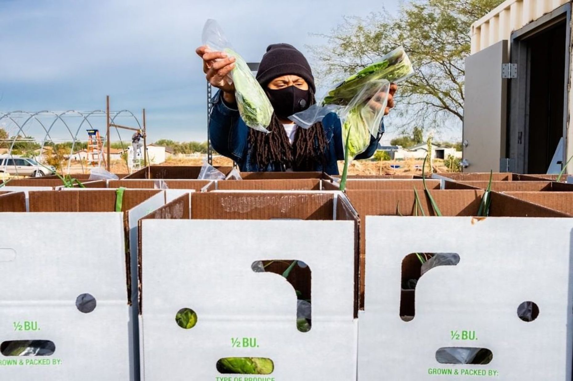 The city of Phoenix is finding and training a new generation of farmers