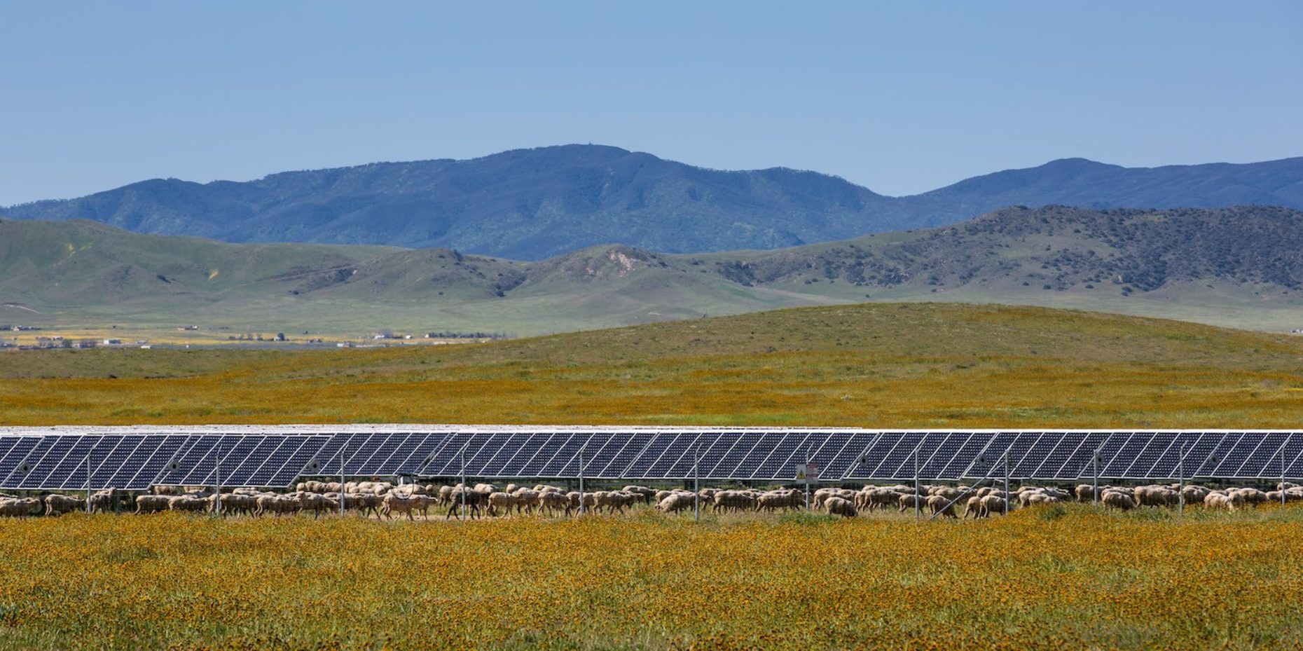 More regenerative farming may be a climate solution. But another ...